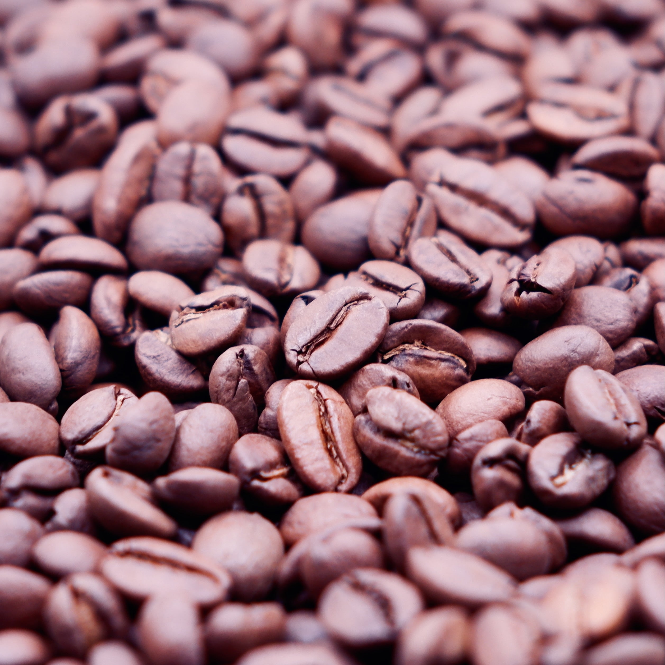 Custom Blends WHOLESALE – Argyll Coffee Roasters